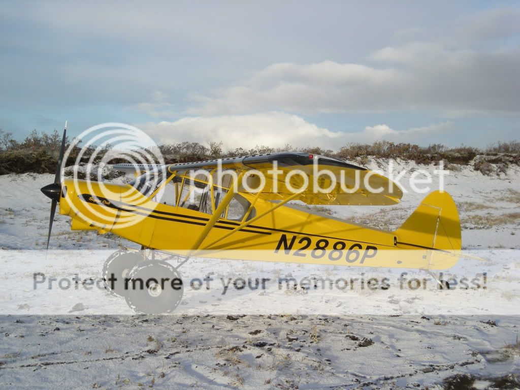 paint schemes | SuperCub.Org